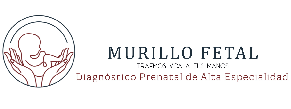 Dr. Andrés Murillo – Medicina Materno Fetal y Perinatología